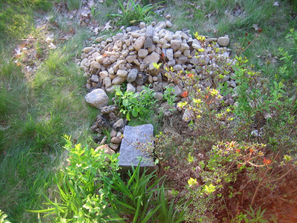 More free rocks! – Growing in Gardner